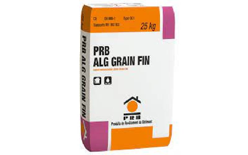 ALG grain Fin : enduit monocouche léger grain fin