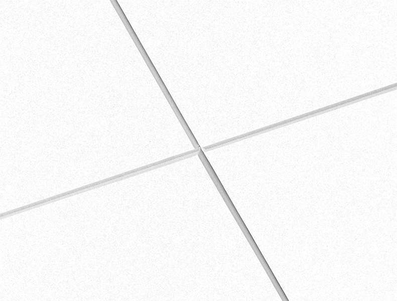 Ecophon Hygiene Performance™ Ds