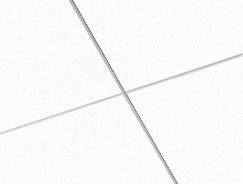 Ecophon Master™ Ds