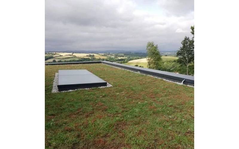 RENOLIT ALKORPLAN Green : système de végétalisation pour toiture non accessible